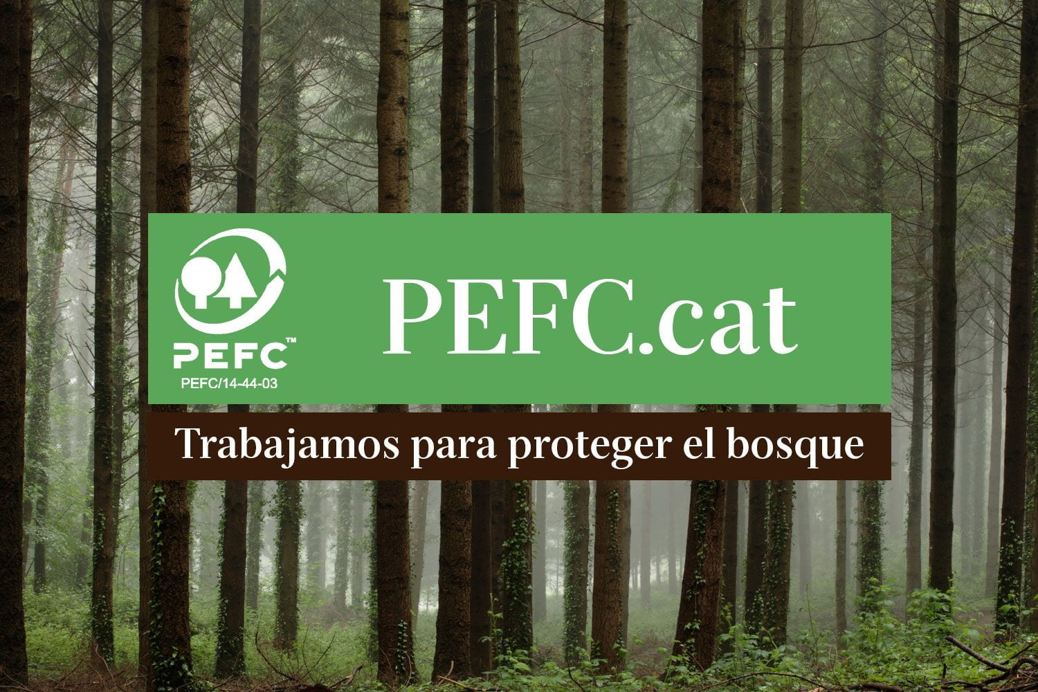 Uso marca PEFC - PEFC Catalunya